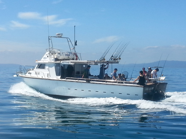 About Rip Charters